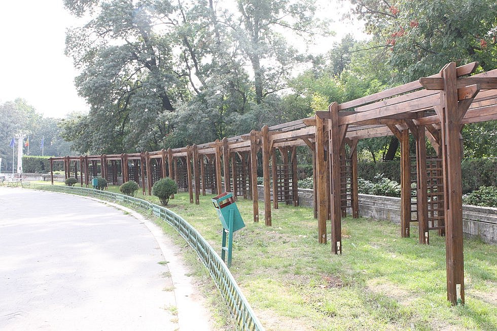 Acasă - Primaria Sector 4